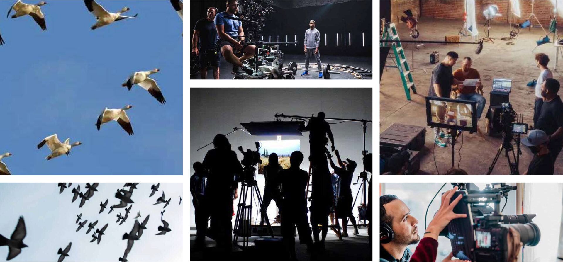 Flock – Studio Graphite